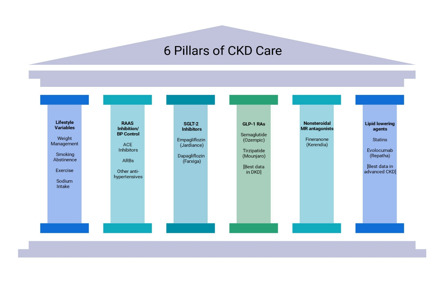 Overview of Chronic Kidney Disease - Northlake Nephrology Institute